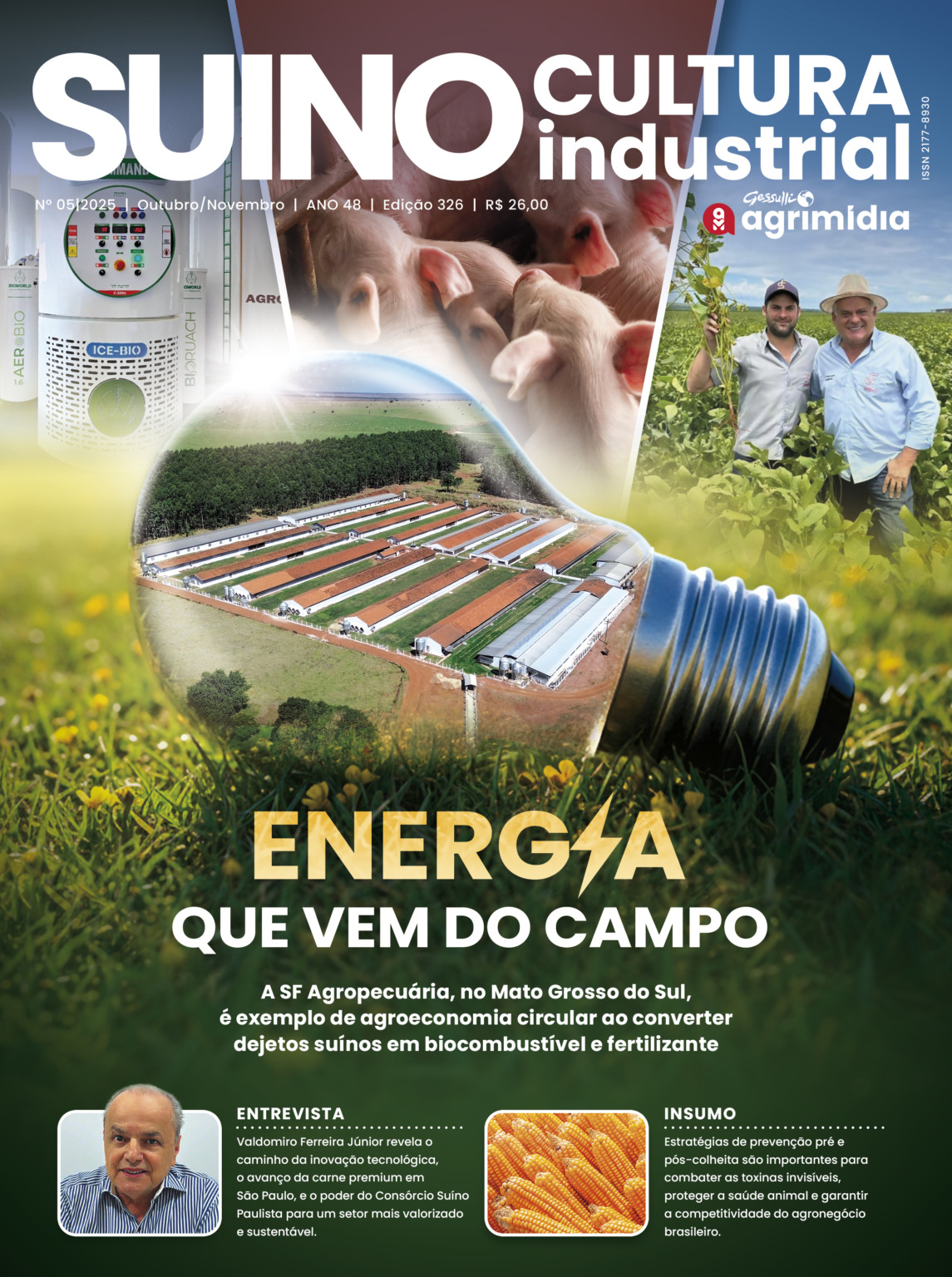 Pluma Agroavícola anuncia expansão robusta com mais de 1.500 empregos ...